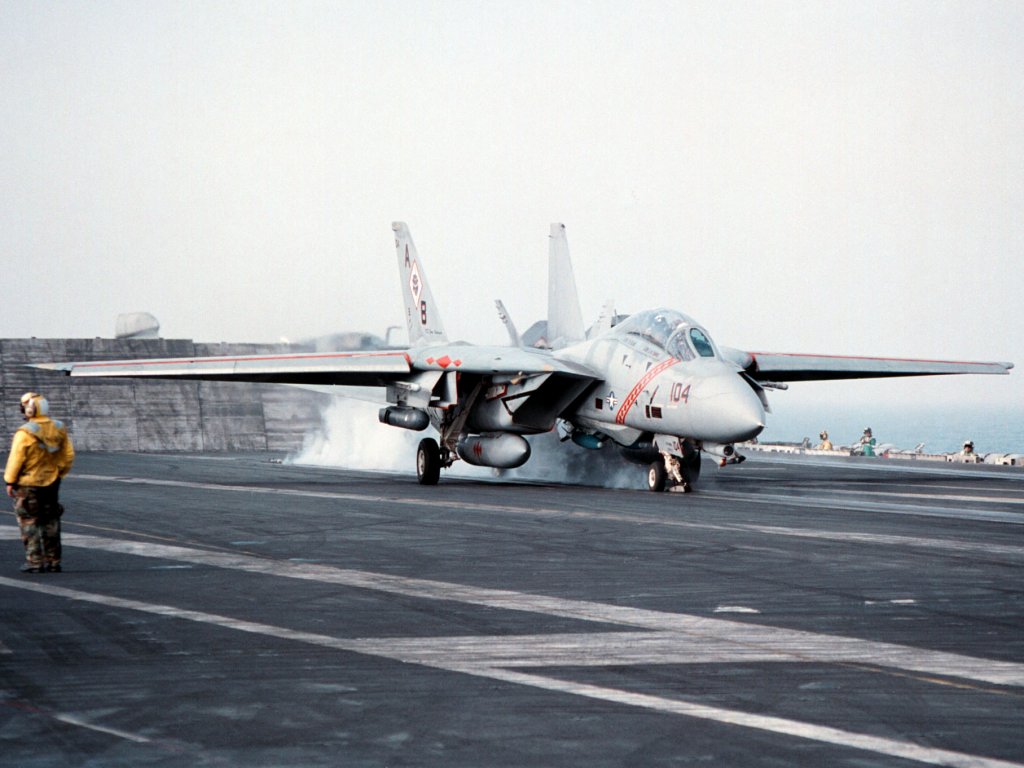 F-14 Tomcat