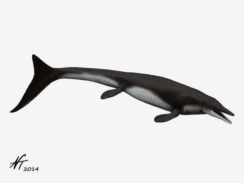 Brygmophyseter shigensis v Tylosaurus nepaeolicus - Carnivora