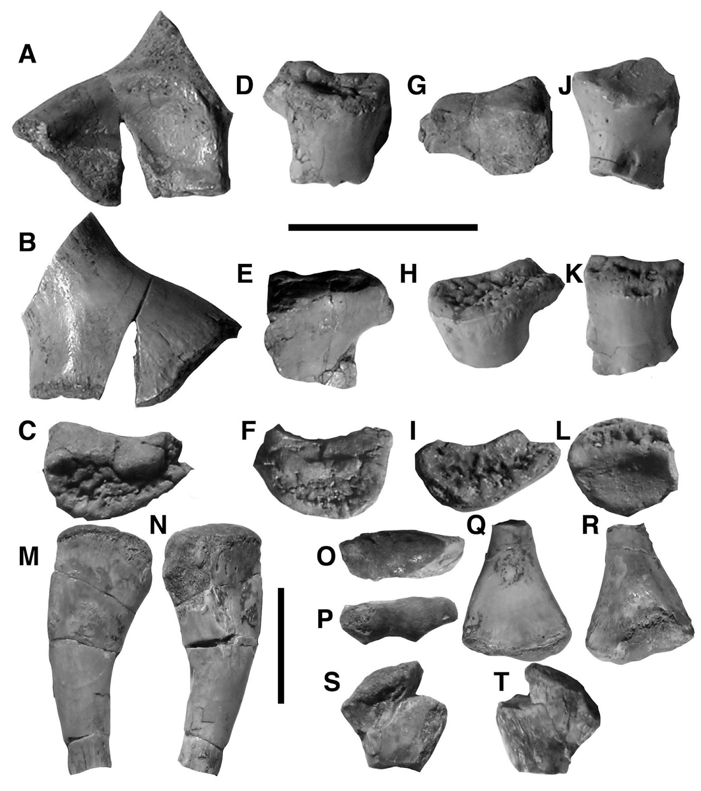 Waxing Paleontological: D&D Monsters of the Triassic