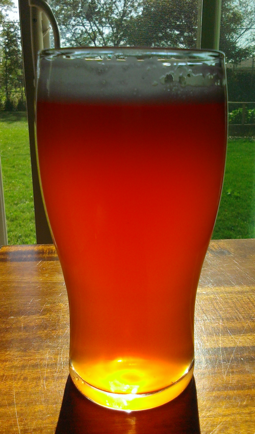 Sui Generis Brewing: Pink Beer