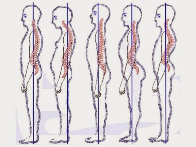 Armonia Corporal: LA POSTURA