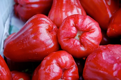 Gambar Buah Jambu Air Segar - Aku Buah Sehat