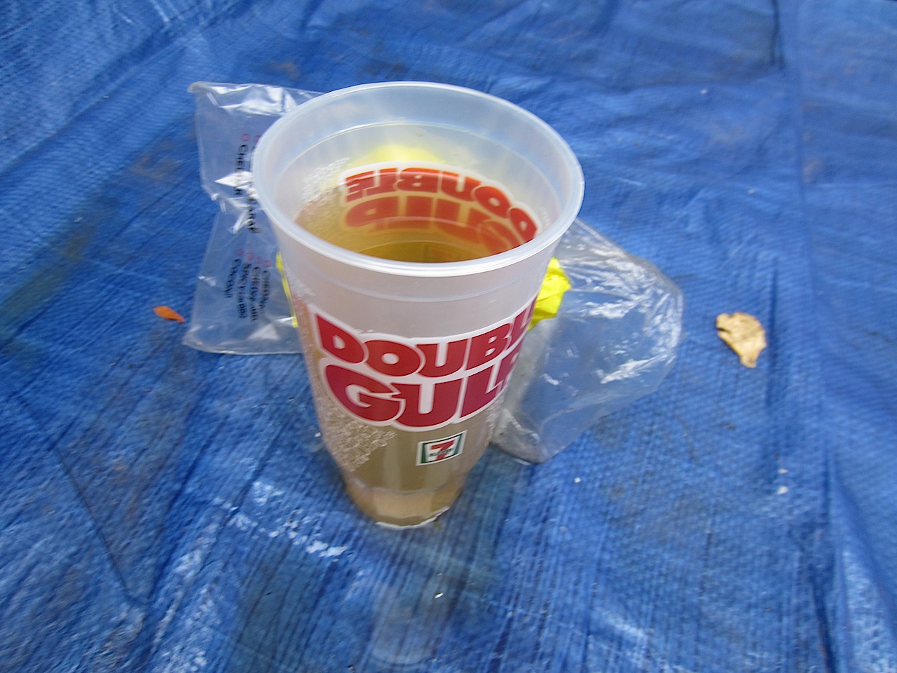 Ev Grieve Why We Still Need Big Gulps And Double Gulps