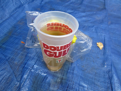 EV Grieve: Why we still need Big Gulps and Double Gulps