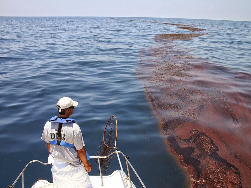 Honors Biology : Biome Travel Blog: Oil Spill