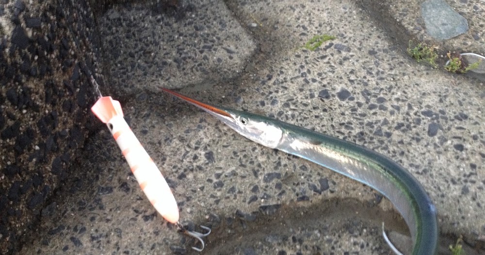 American saltwater lures can catch Japanese fish?: (No. 163) Big ...