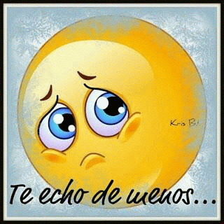 TE AMARE HASTA EL FINAL : te echo de menos..