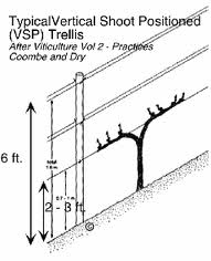 Posted 19th July 2011 by StrykerSonomaWine