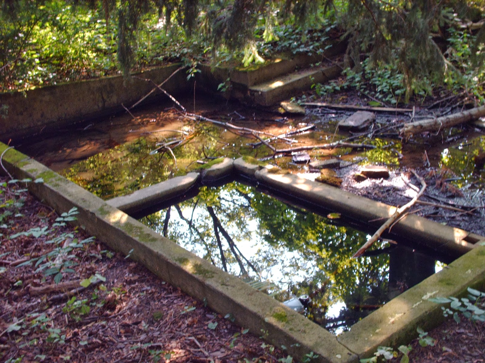 Discovery PA: A Forgotten Orchard