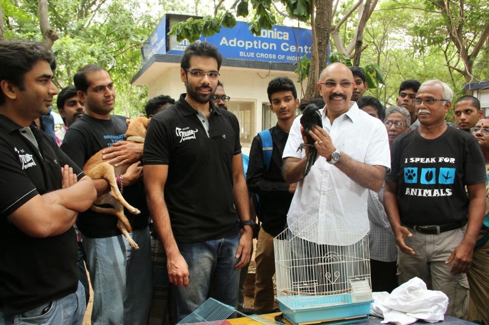 Naaigal Jaakirathai Movie Team Adopts injured Dog Photos!!!