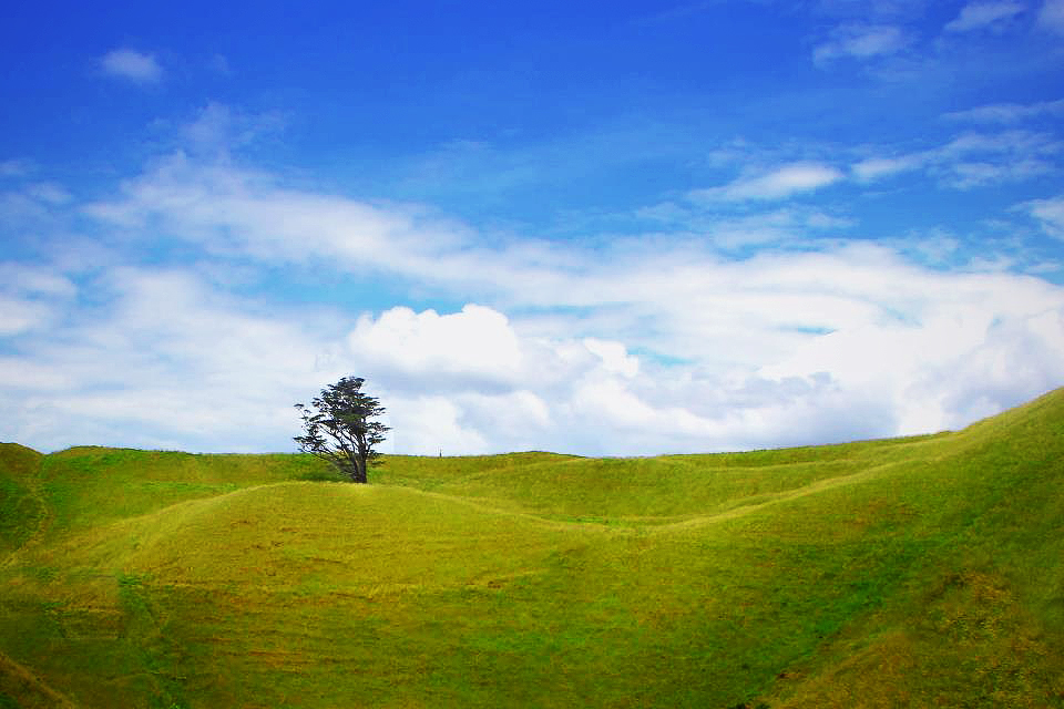 Gudang Gambar: BACKGROUND PEMANDANGAN HIJAU