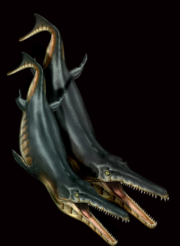 Species New to Science: [Palaeontology • 2013] The affinities of ...