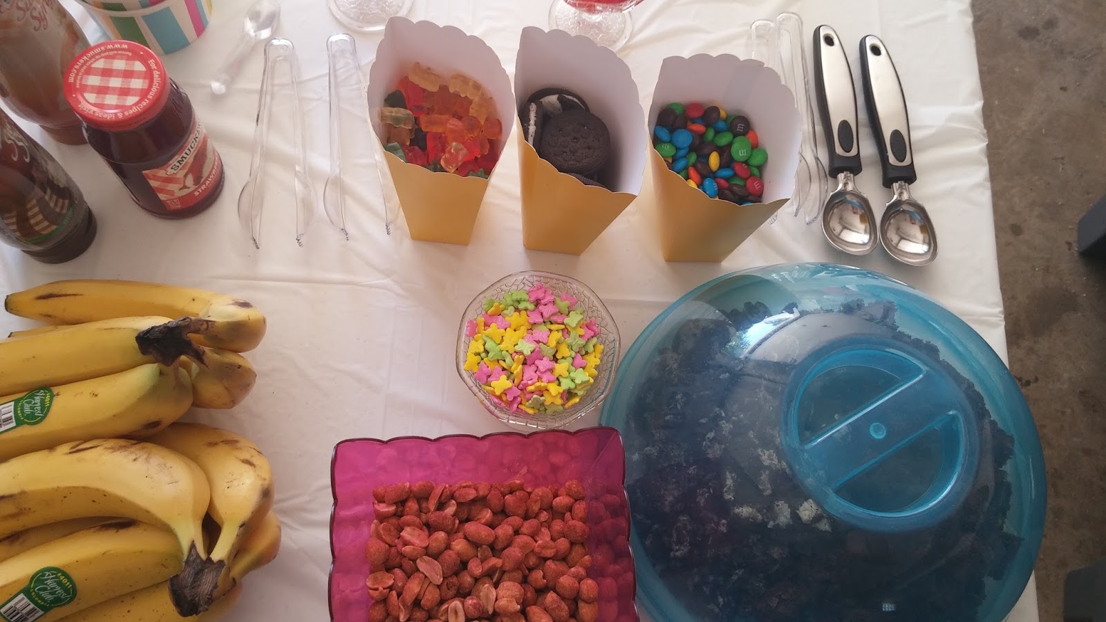 The Ripples Affect: Ice Cream Sundae Buffet Party