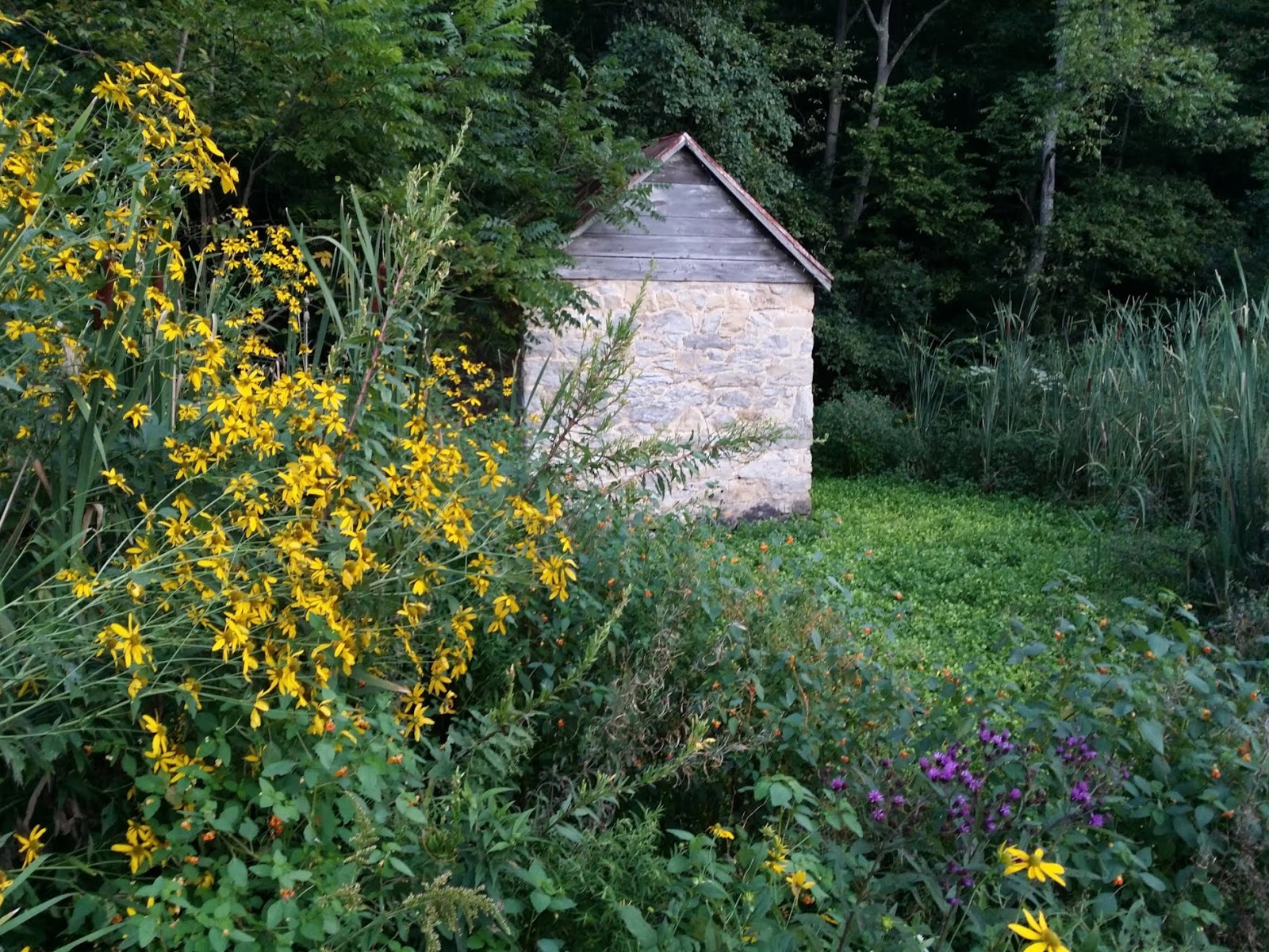 PA Environment Digest Blog: Central PA Conservancy Acquires Watercress ...
