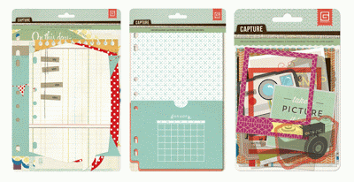 Charmed Cards and Crafts the Blog: Basic Grey Capture