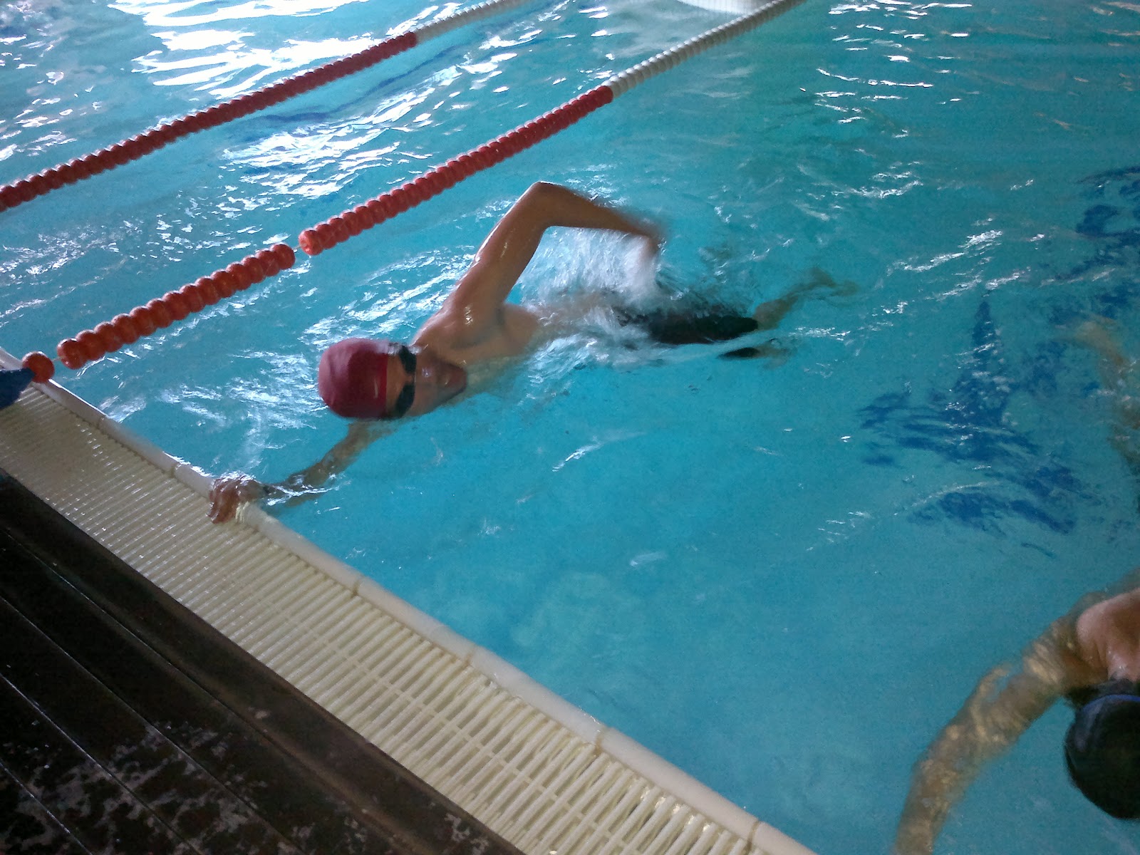 5TRAINERS: natación inciacion crol