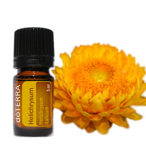 Nutri EO Wellness: doTERRA Helichrysum Essential Oil 5mL