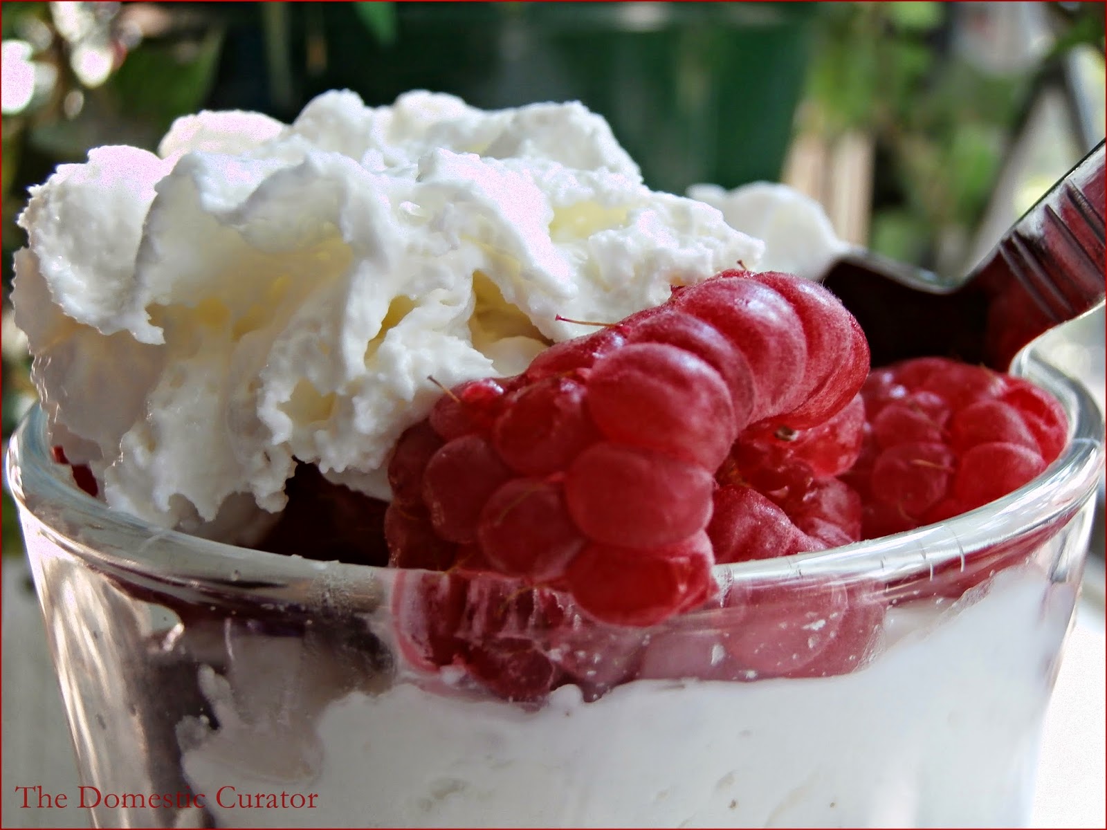 The Domestic Curator: Brownie Parfait Shooters