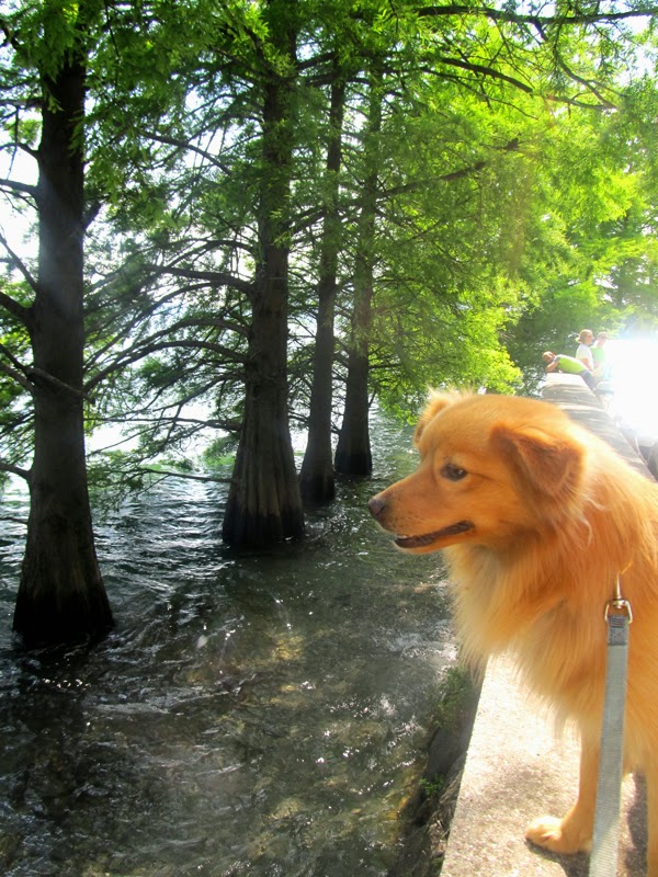 Alpinline : Via Aramis a Rogno e Falesia di Predore