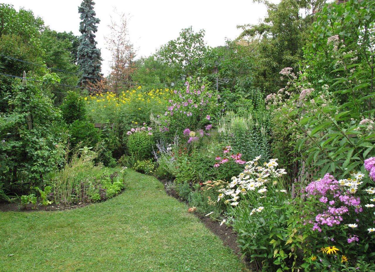 valerie knapp: Views in my sunny border, yesterday...