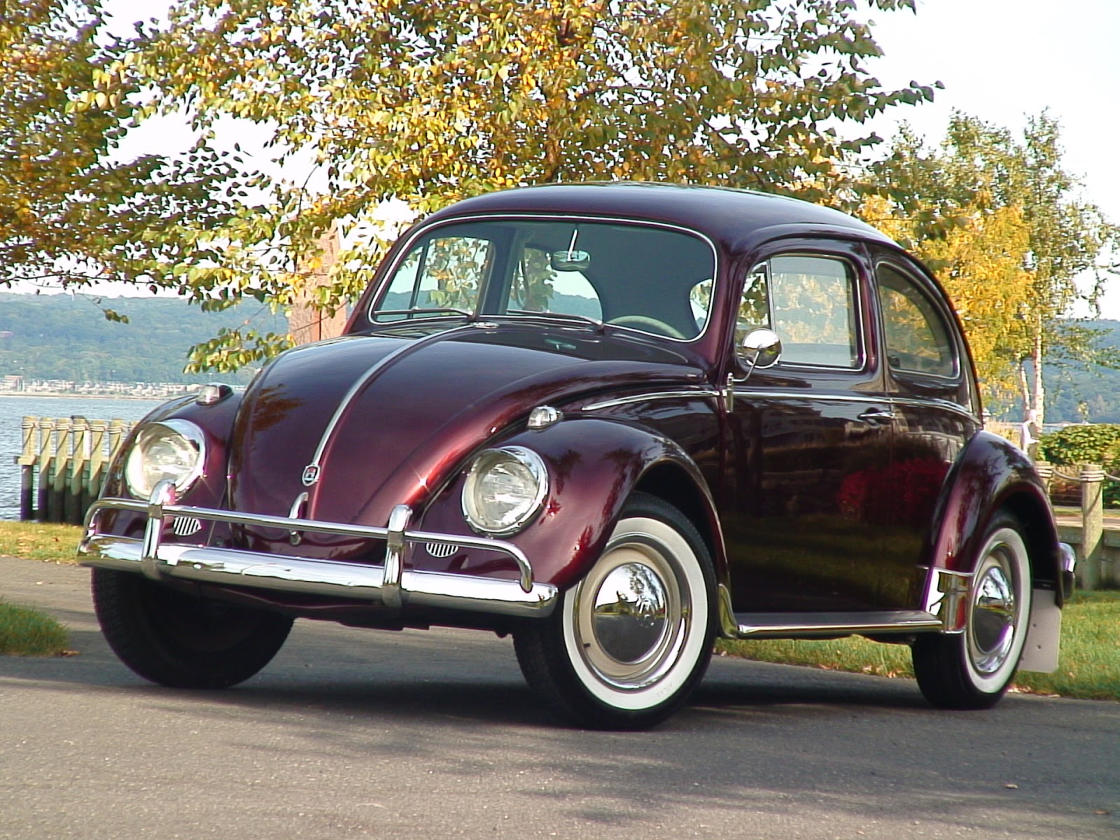 Foto Bilgim: Classic WW Beetle