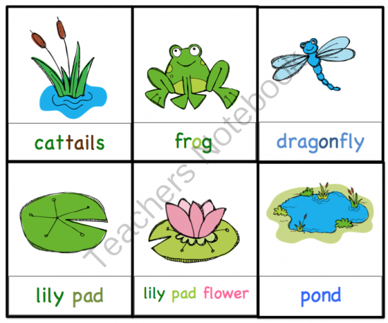 Pond Printable for Toddlers ~ Preschool Printables