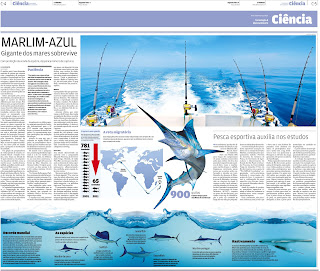 Se vira!: Marlim-azul