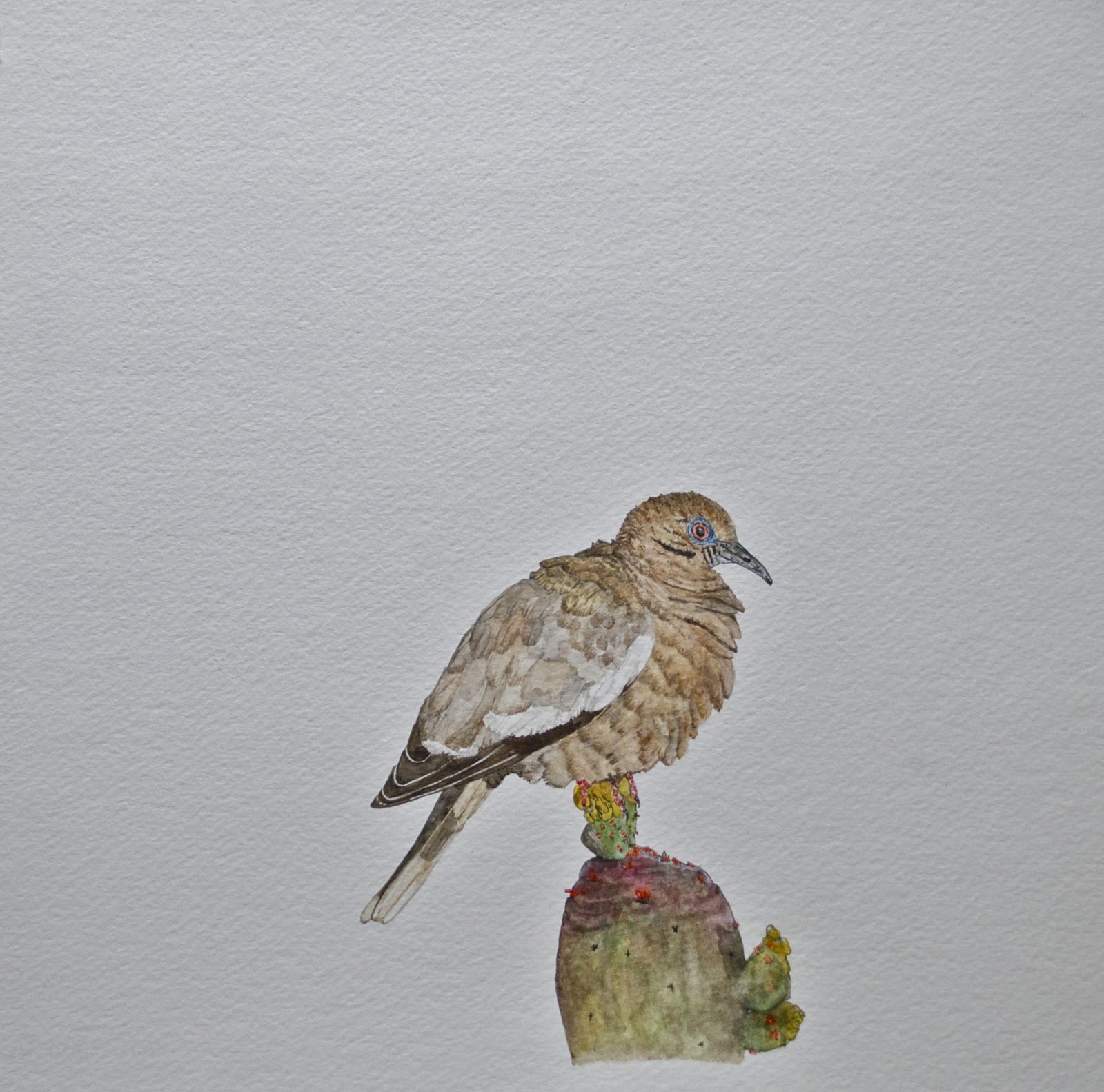 Tamara Coleman: PAINTINGS/DRAWINGS