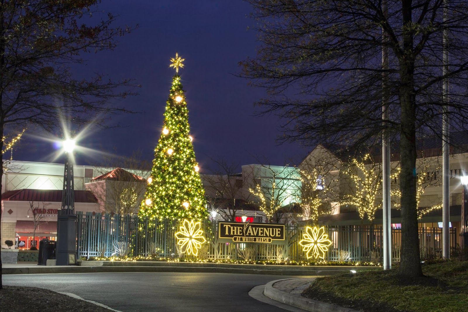 Downtown Decorations, Inc.: The Avenue at White Marsh (2013)