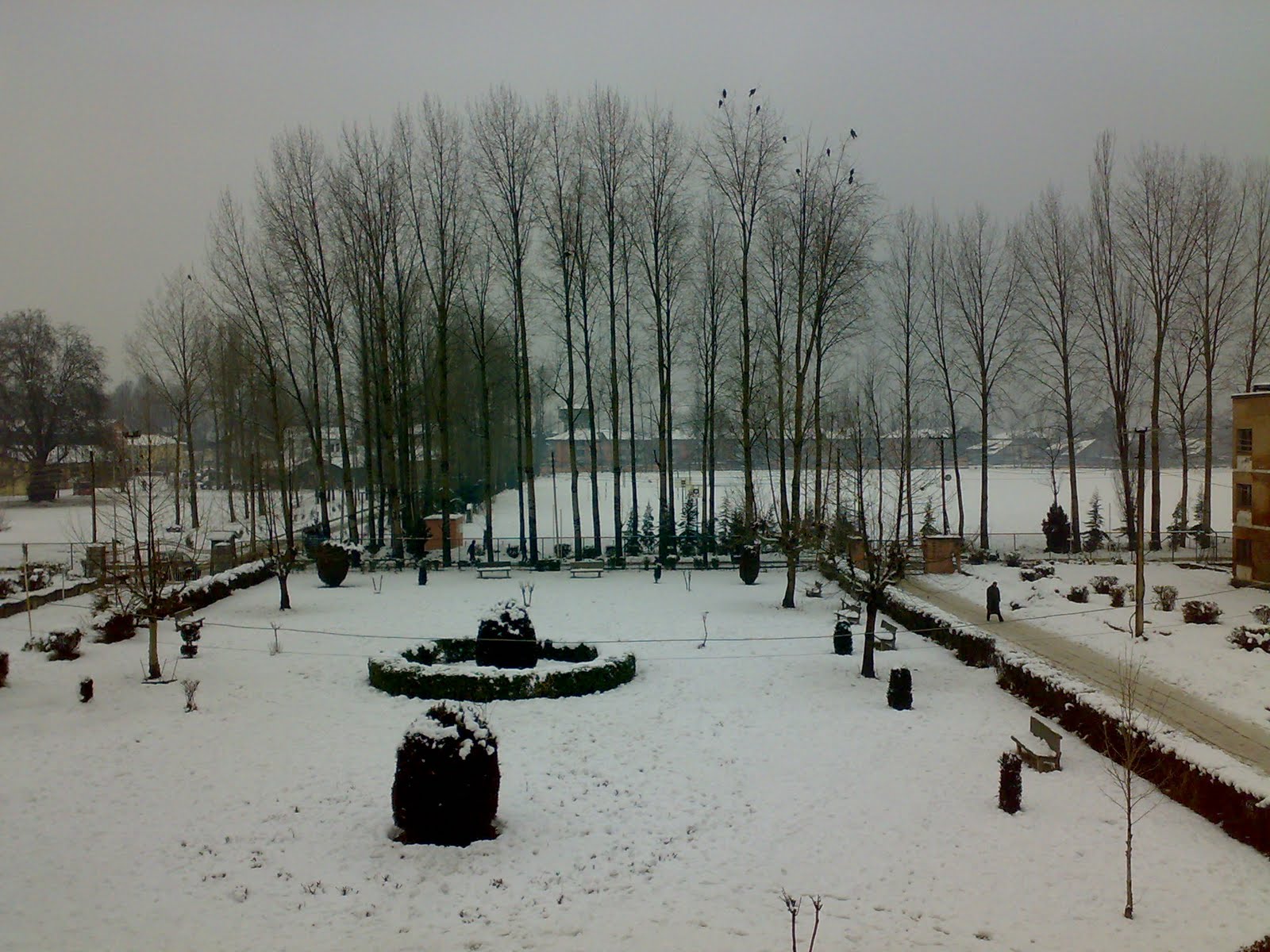 LIFE AT NIT SRINAGAR: Snow Fall @ NIT Srinagar