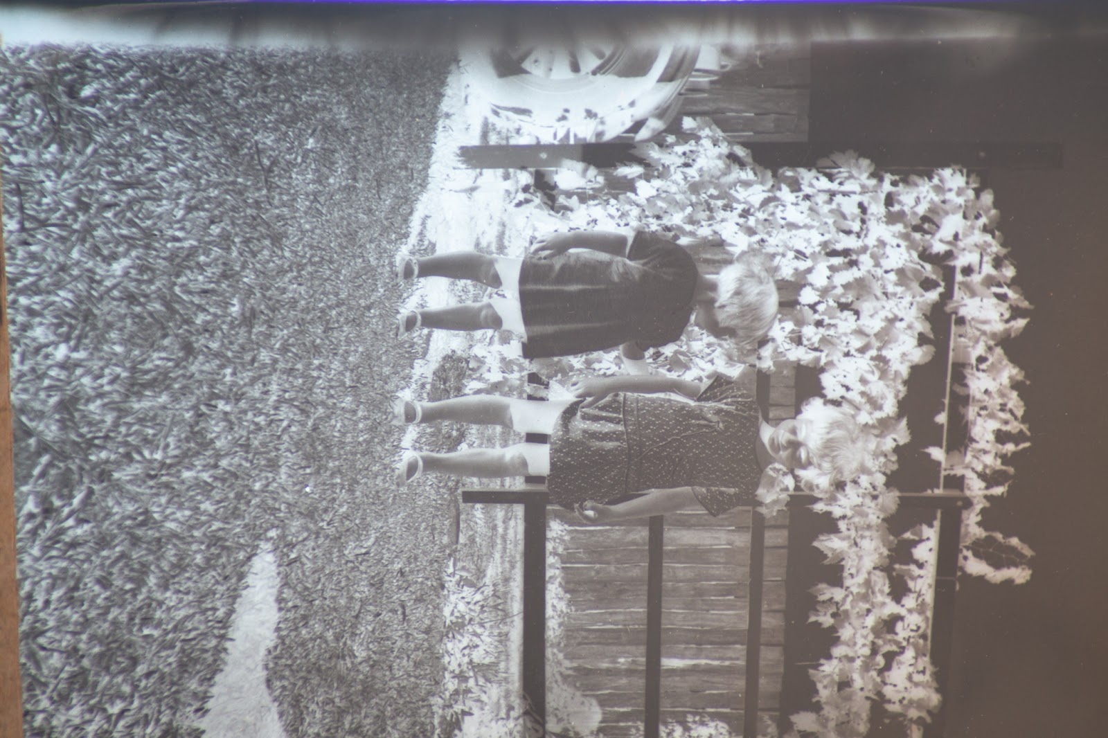 Old format negatives: how to get pictures from negatives