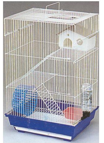 Hamsterul.Ingrijire.Detalii: Achizitionare. Pregatirea custii