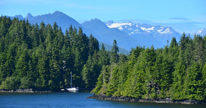 Safe Harbour: Day 36: Quait Bay to Tofino