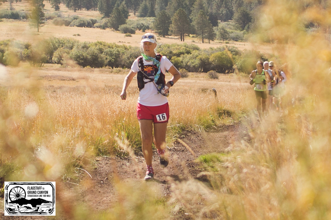 Reinventing the Run: Five Questions with Michelle Hawk - Interviews ...