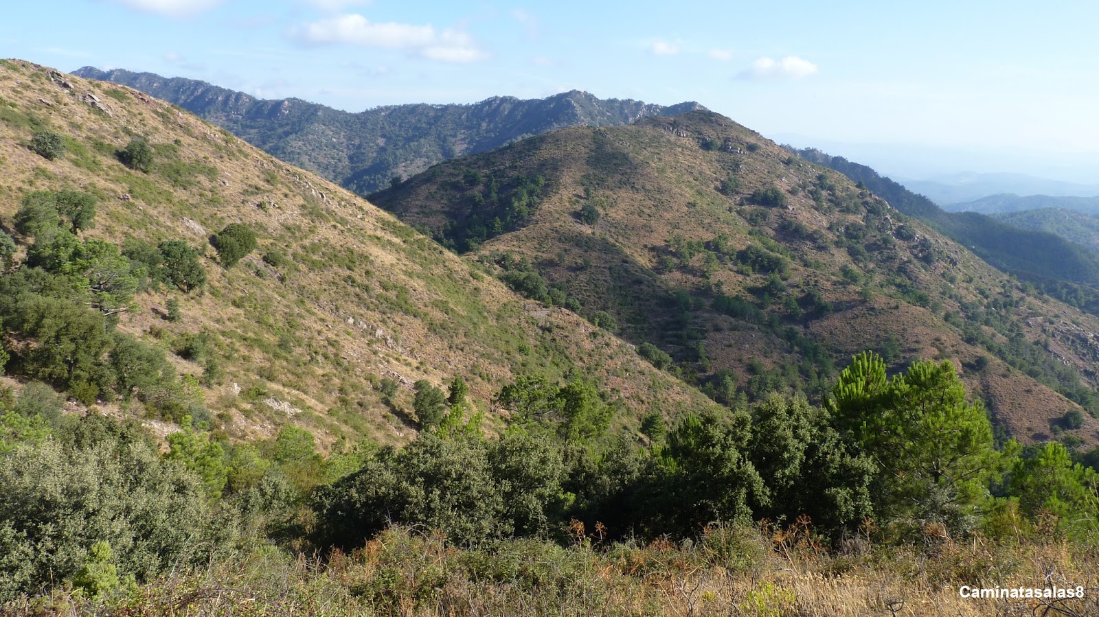 Caminatasalas8: Al Pico Bellota desde el Collado de Ibola por Cerro ...