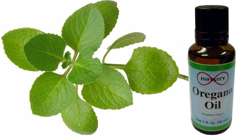10.Oregano oil