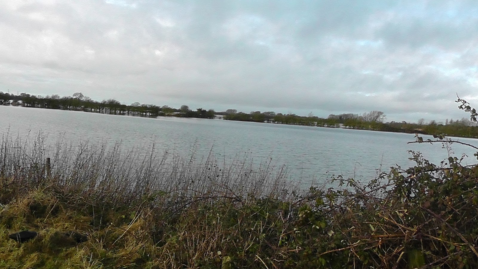 The Oxon Feather: December 2012