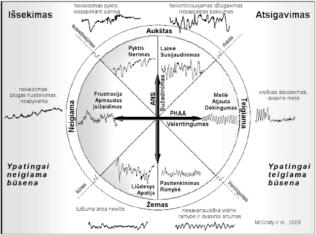 Tinklaraštis: Širdis moka įsakinėti smegenims, o kvėpavimas – širdžiai