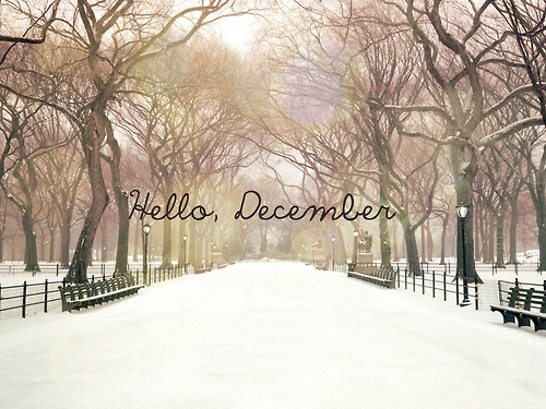 The Craziest Paradigm // fashion, beauty + lifestyle: Hello December ...