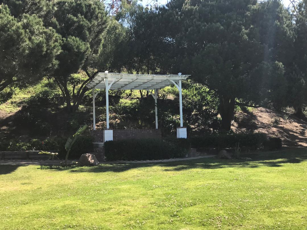 Relevant Tea Leaf: Day 6 - Coral Tree Tea House