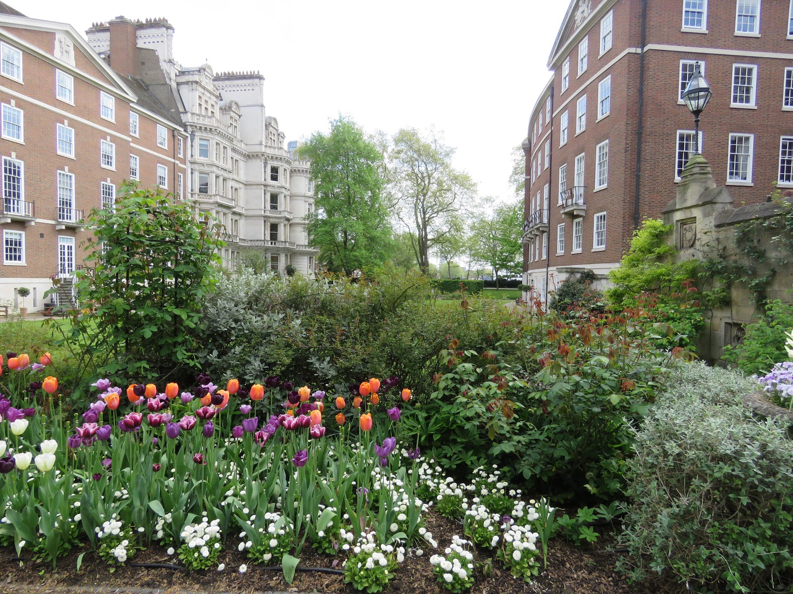 Tulips defeat roses at Inner Temple, London