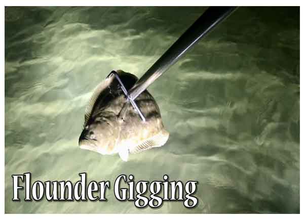 Flounder gigging - 5 video - flounder