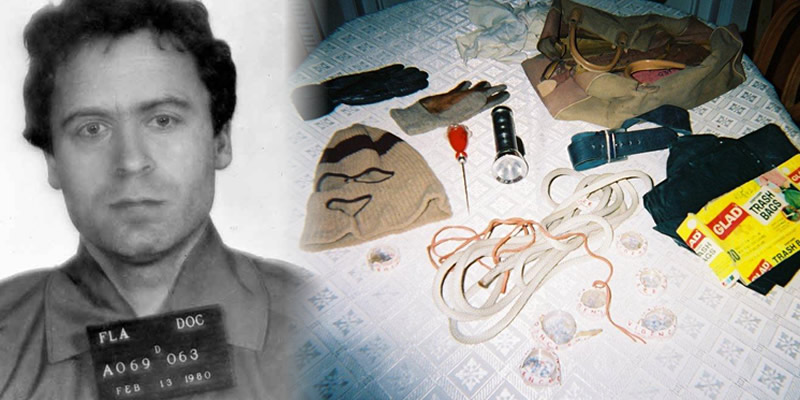 Bornal: CONVERSANDO COM UM SERIAL KILLER: TED BUNDY (RESENHA)