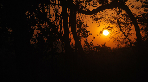 Indian Photography: Sunset on Jungle Wallpaper