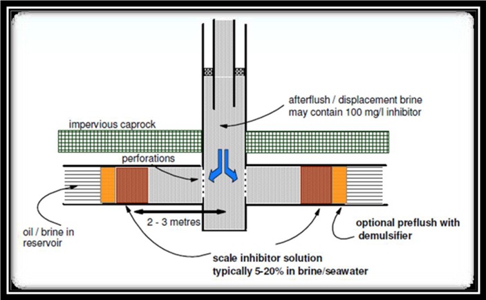 My Journey: Downhole Scale Squeeze Treatment (DSST)