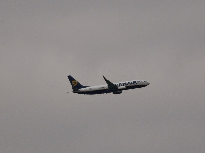 Cindy's Snaps: Hatfield Forest (stomping ground of my Hatfield Broad ...