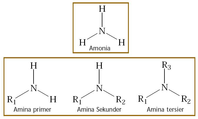 BilaBlog: GUGUS FUNGSI SENYAWA ORGANIK