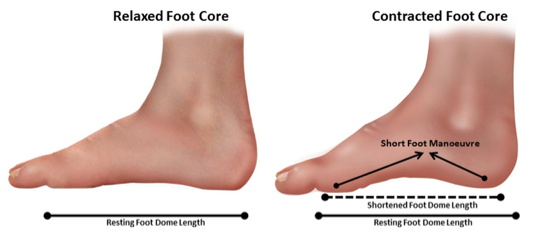 Catalyst: A Runner’s Guide to “Foot Core” Stabilization: Training the ...