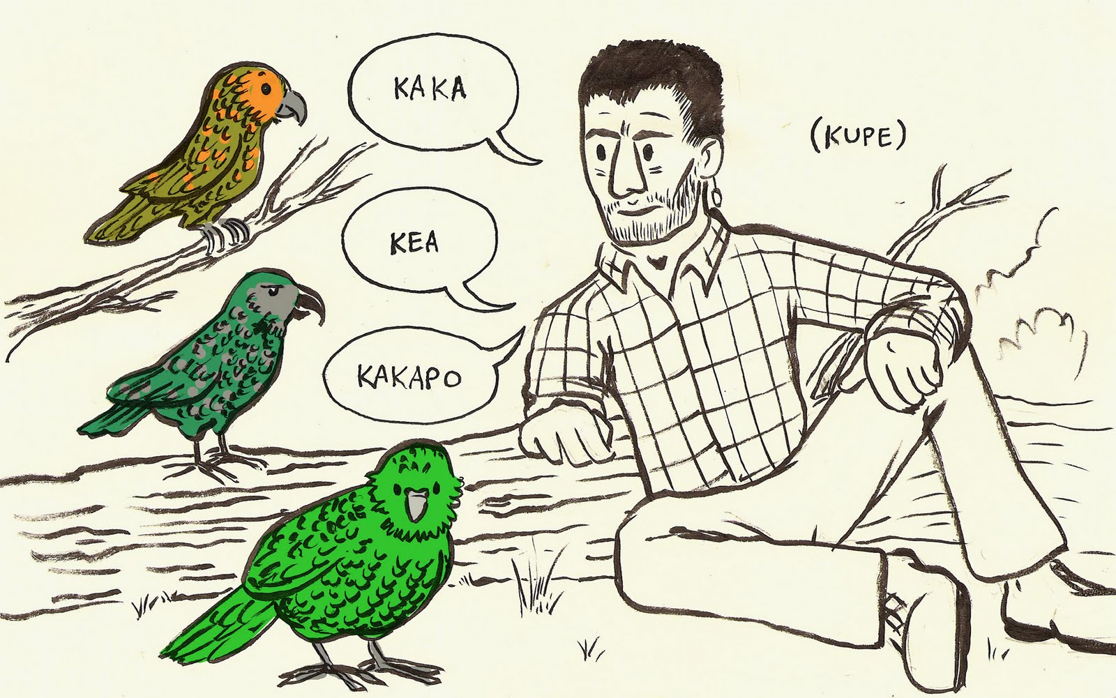 Satisfactory Comics: Animal Alphabet: K is for Kaka, Kea, and Kakapo