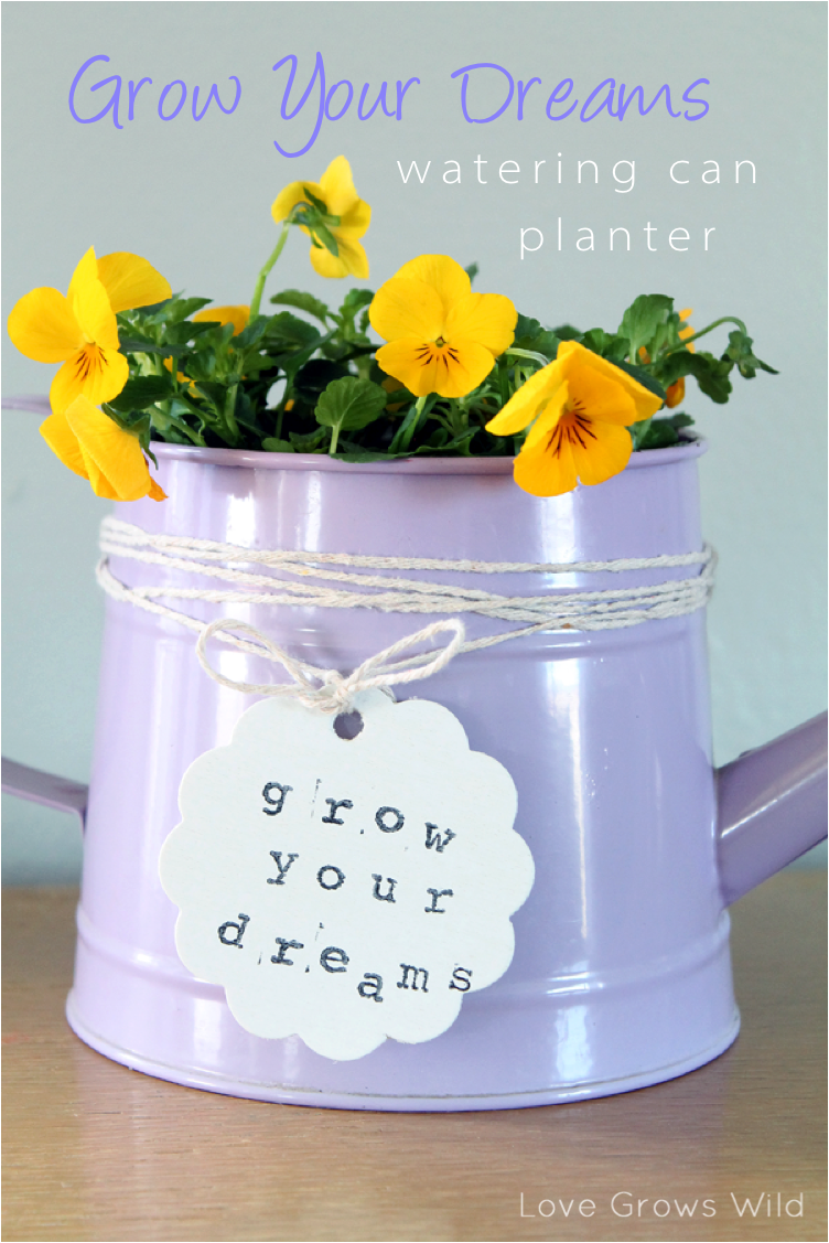 Spring Fling Day 5 : Watering Can Planter from Love Grows Wild ...